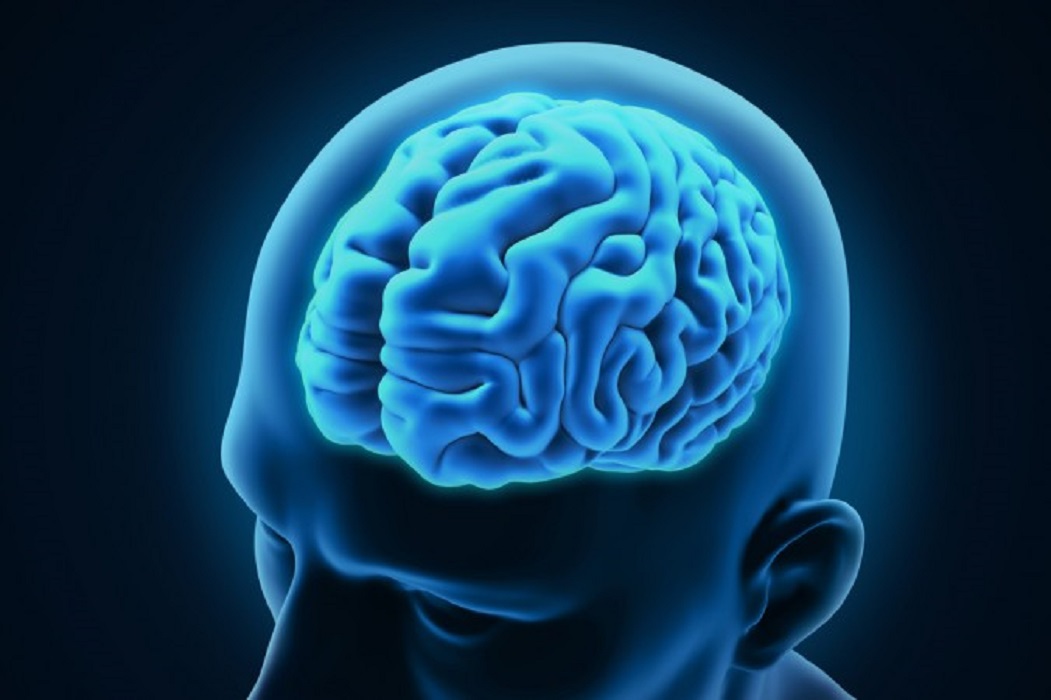 Znanstvenici: Ljudski mozak ima spol, razlike su jasno izražene