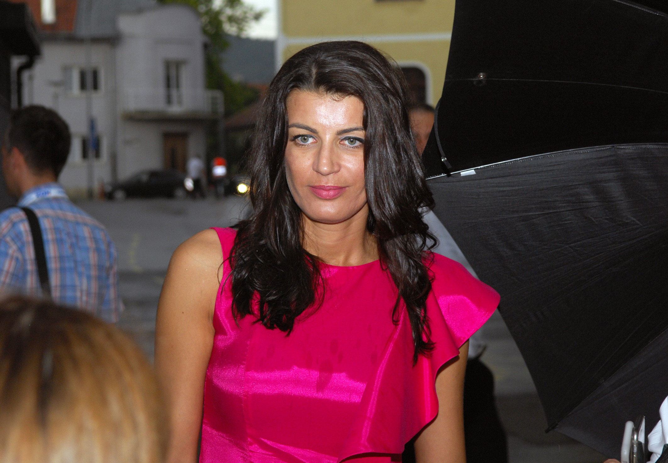 Vozilo kninske gradonačelnice Josipe Rimac udarilo u divljeg konja