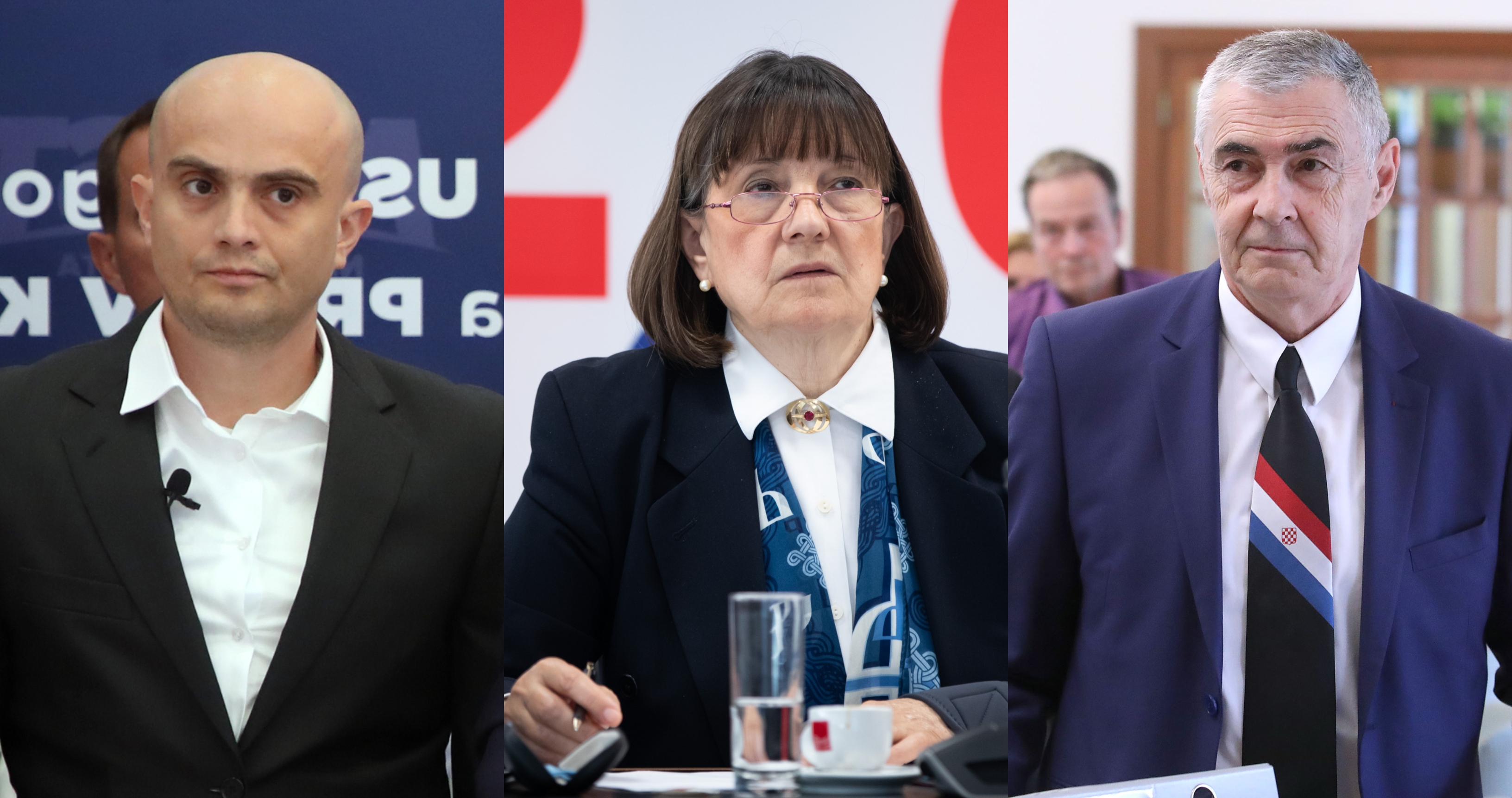 VELIKA BORBA ZA DIJASPORU: HDZ-ova Zdravka Bušić protiv Željka ...