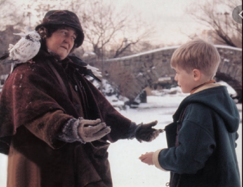 SLAMA SRCA Pretužna sudbina žene s golubovima iz filma 'Sam u kući'