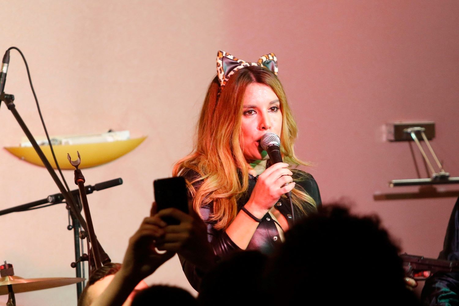 Nives Celzijus pohvalila se božićnom jelkom: Nije jedina koja ju je okitila prije Badnjak