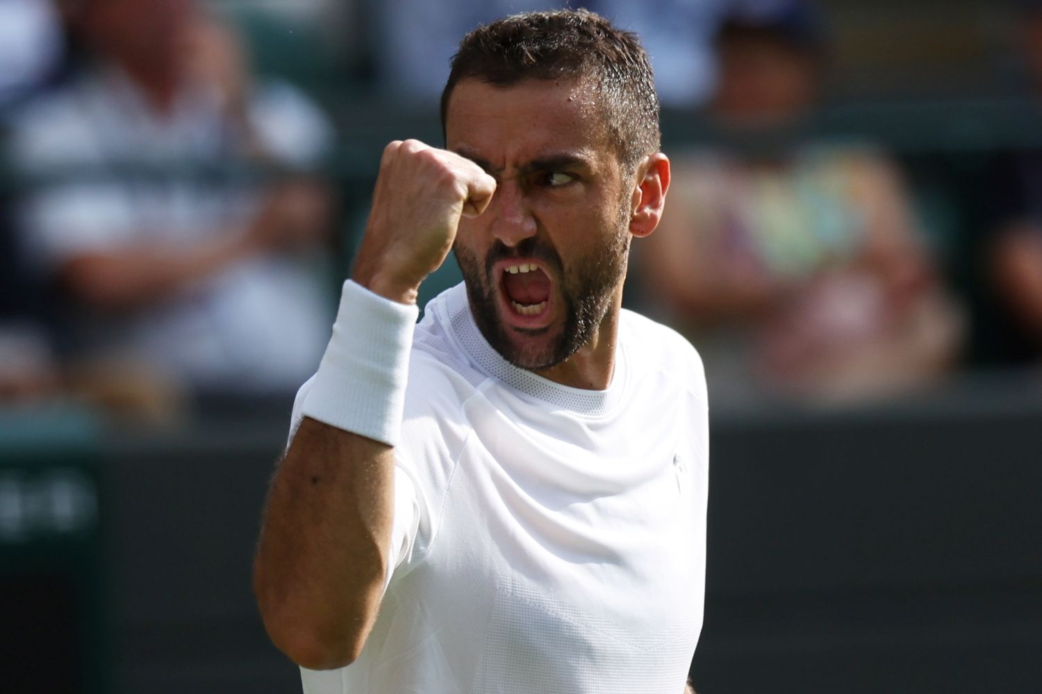 Hrvatska senzacija na Wimbledonu: Marin Čilić svladao četvrtog tenisača ...