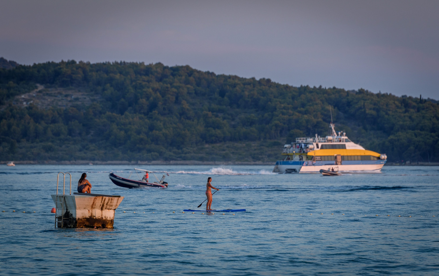 Najveća riba u Jadranu uočena na Jadriji kod Šibenika: Teži 'sitnih' 70 ...